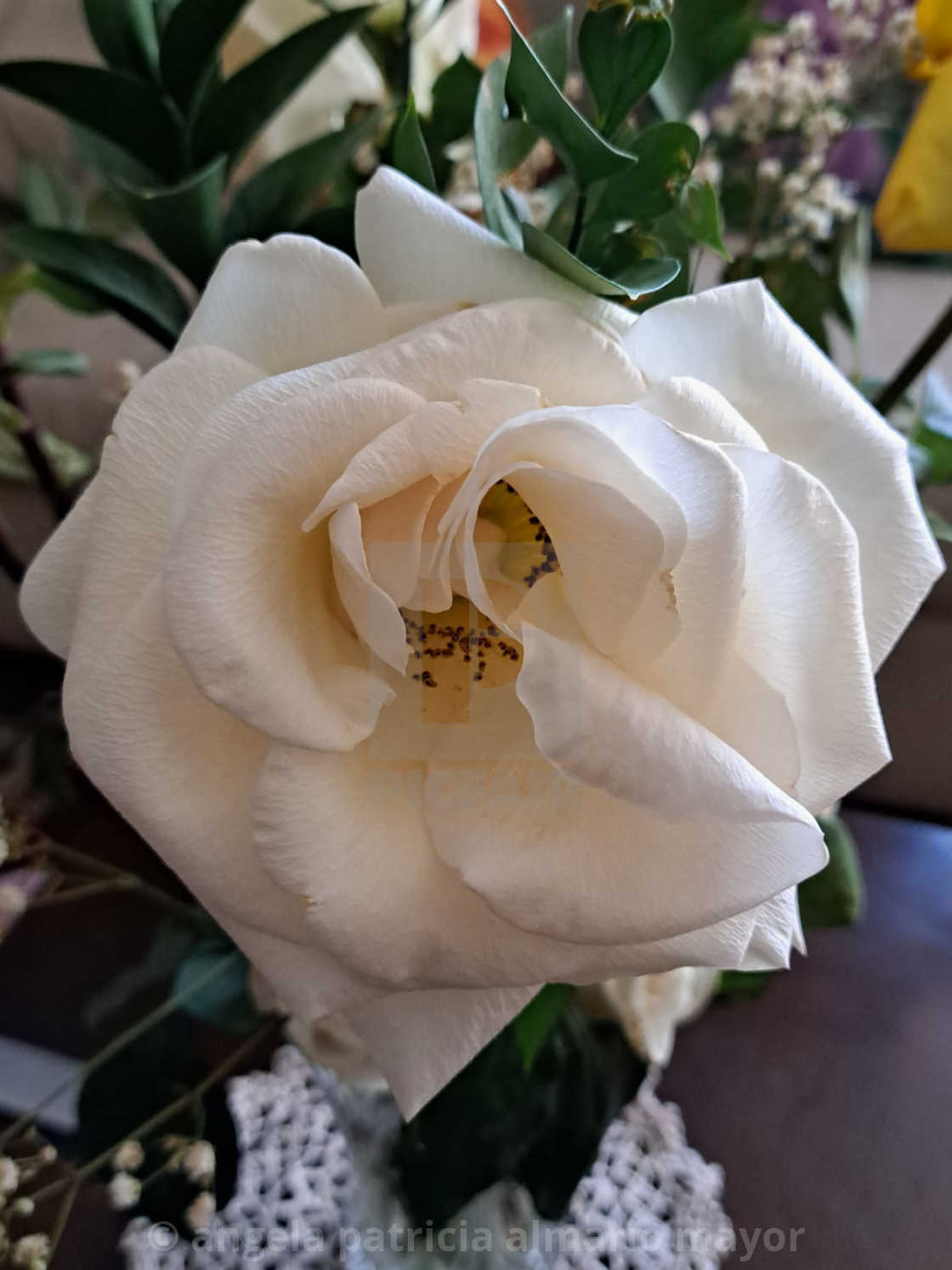 angela patricia almario mayor - digital downloads & prints