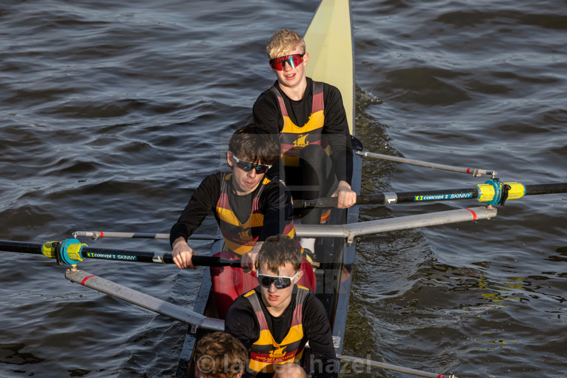 quintin head by lauren hazel - buy prints & digital downloads