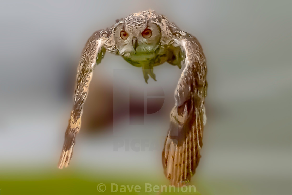 Dave Bennion - digital downloads & prints