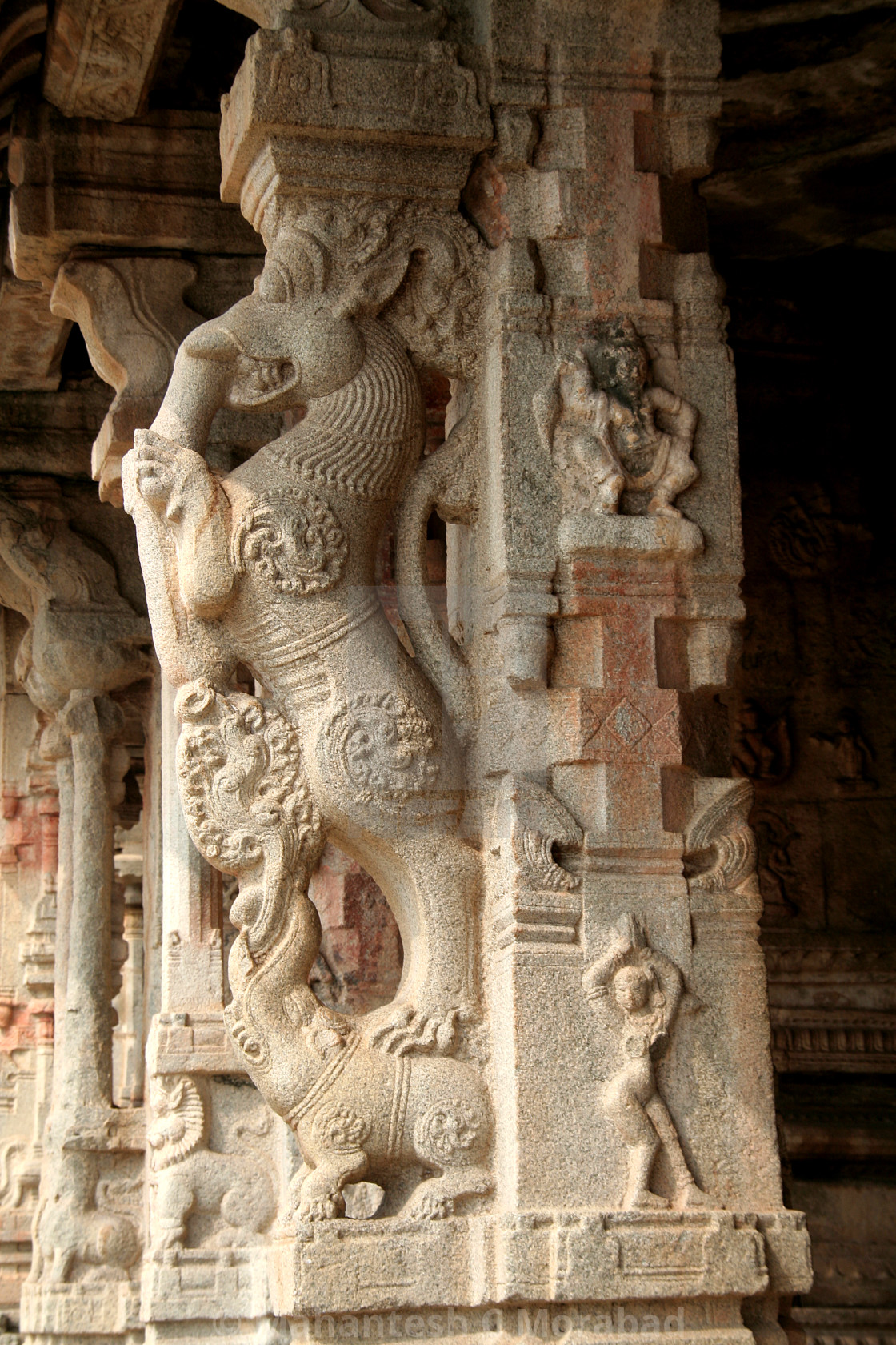 Varna Sutra - Yalis: Divine Defenders