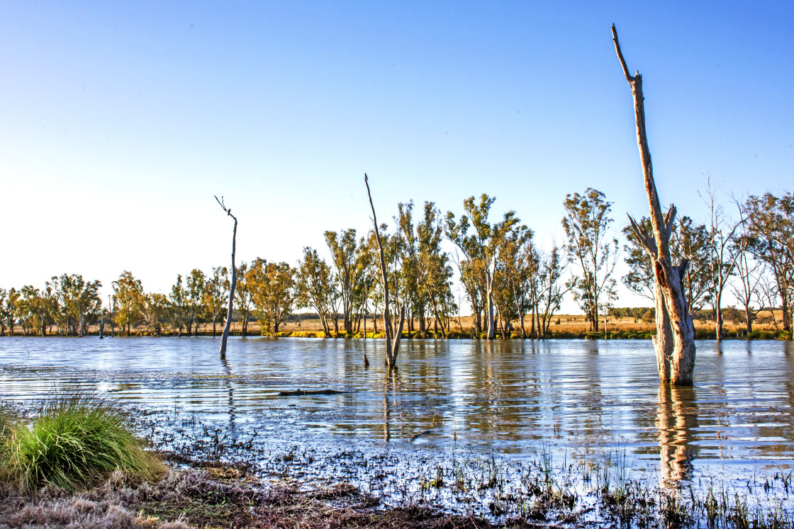Bev Wilson Photography - digital downloads & prints