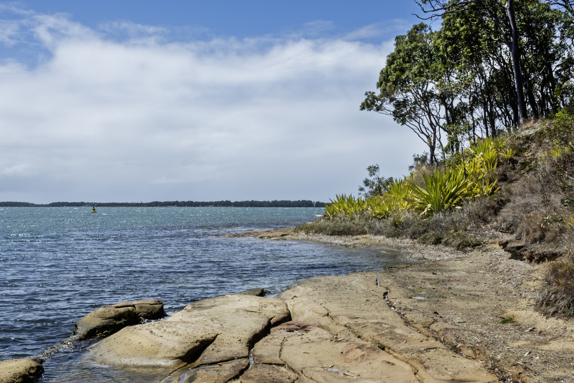 Bev Wilson Photography - digital downloads & prints
