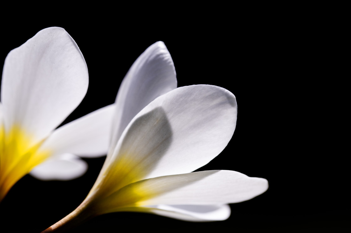 Bev Wilson Photography - digital downloads & prints