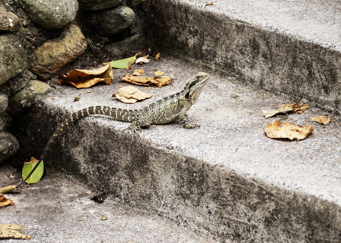 Bev Wilson Photography - digital downloads & prints
