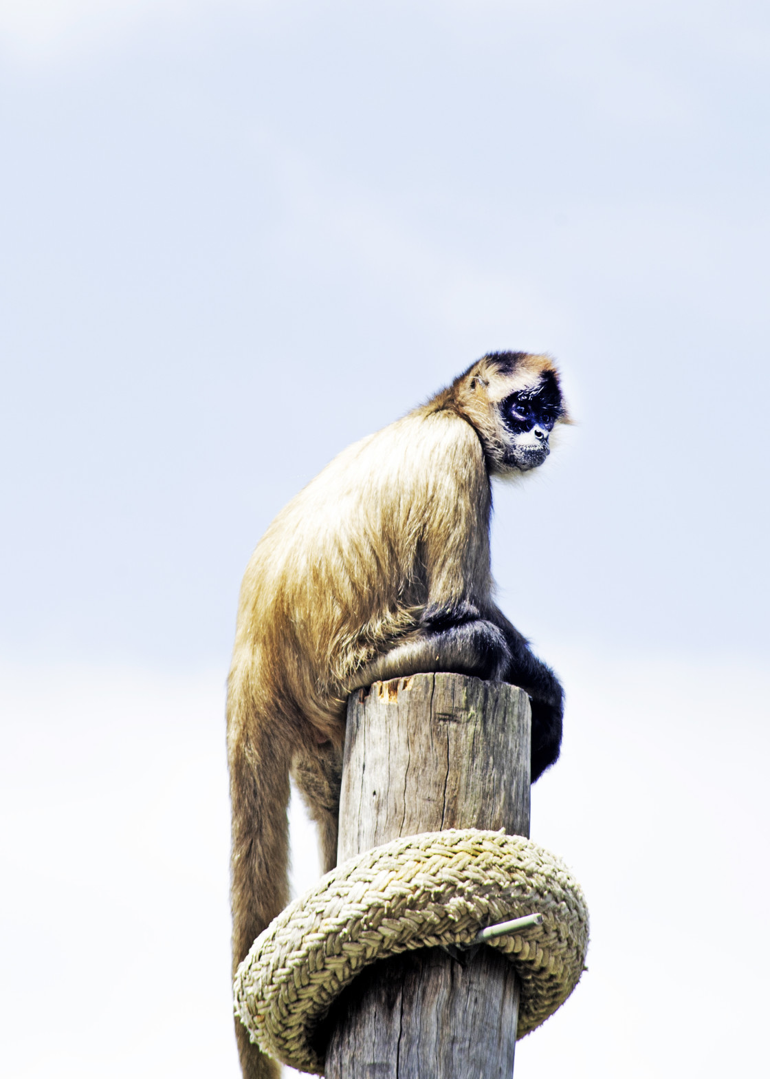 Bev Wilson Photography - digital downloads & prints