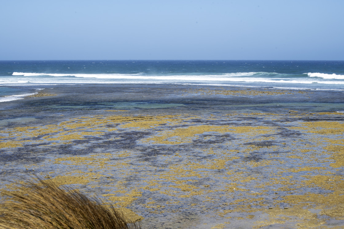 Bev Wilson Photography - digital downloads & prints