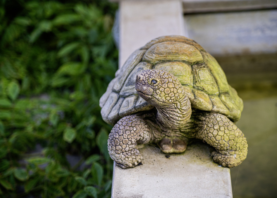 Bev Wilson Photography - digital downloads & prints