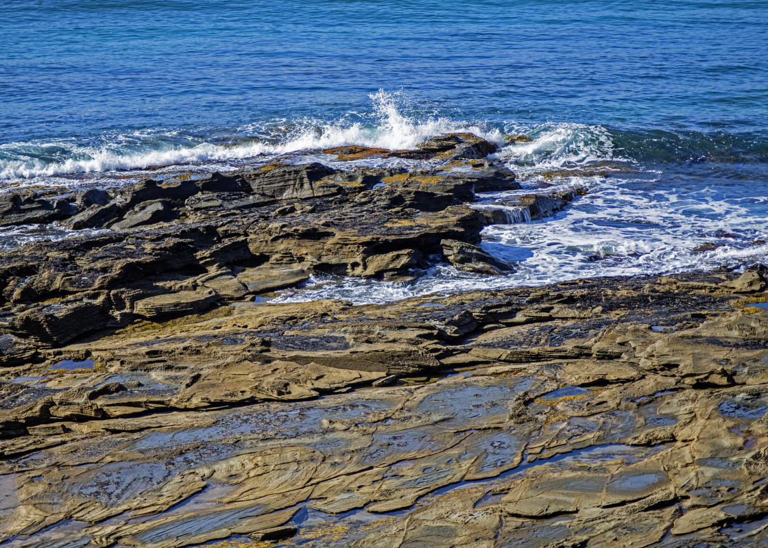 Bev Wilson Photography - digital downloads & prints