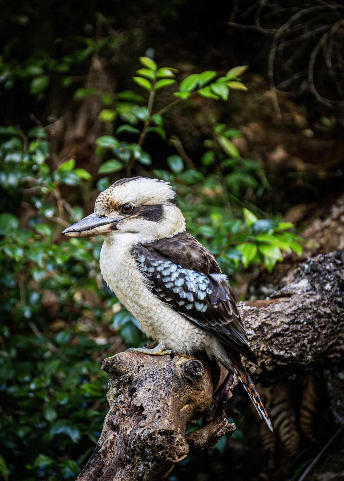 Bev Wilson Photography - buy prints & digital downloads