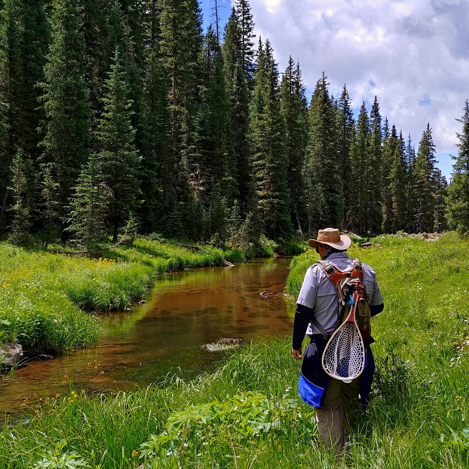 Mike Van Nattan - digital downloads & prints