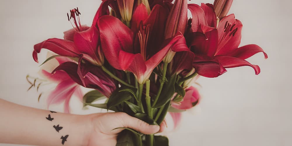 Für Frühling bei sich zuhause oder im Garten - FleuropHOME! - Hier ...