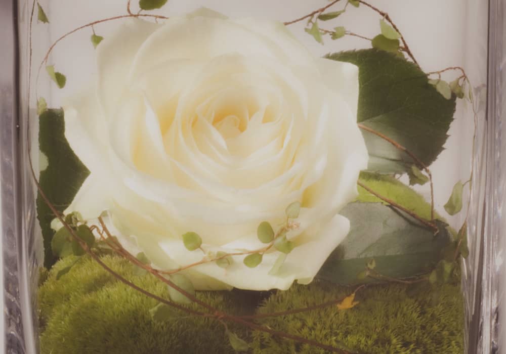 Fleurop Suisse en ligne 💐🎁 Commander des cadeaux floraux 🌍 🚚 Livraison ...