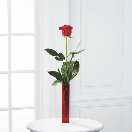 Single Flower - order here - same day delivery