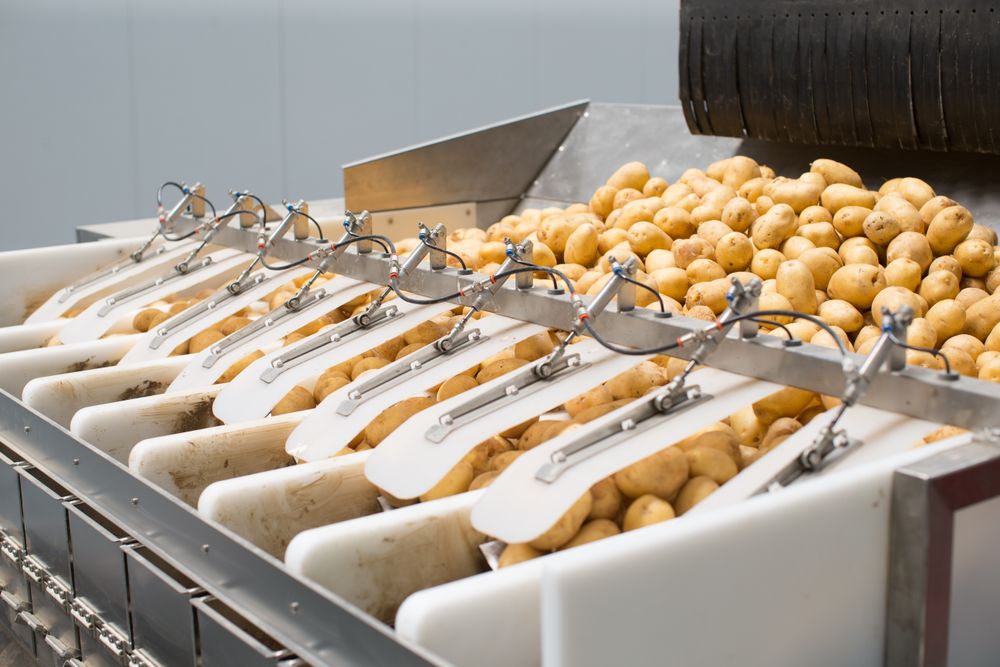 Conveyor Scales