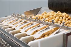 Conveyor Scales