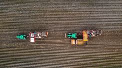 Agricultural Robotics