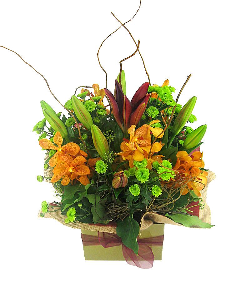 Botanique Flower Arrangement | Melbourne Flower Delivery