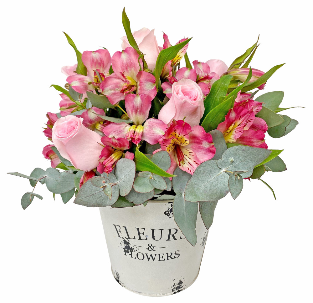 Moondrop - Pink | by Flowers Across Sydney