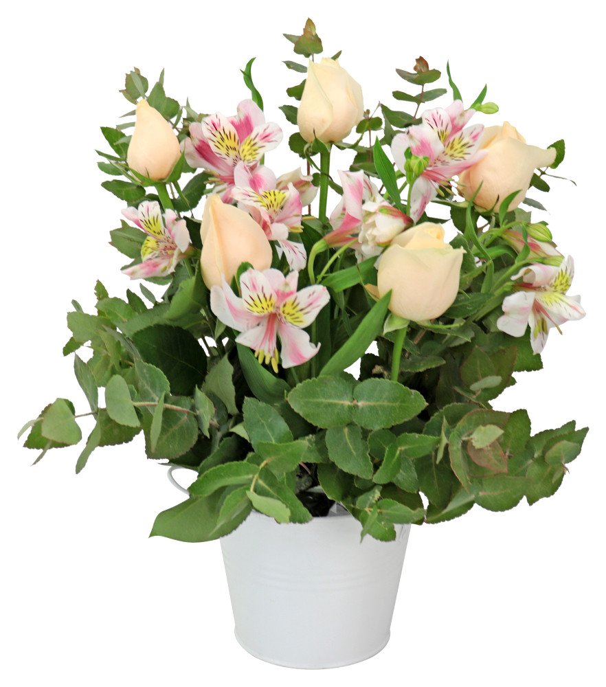 Pastel Moondrop Arrangement | Melbourne Flower Delivery