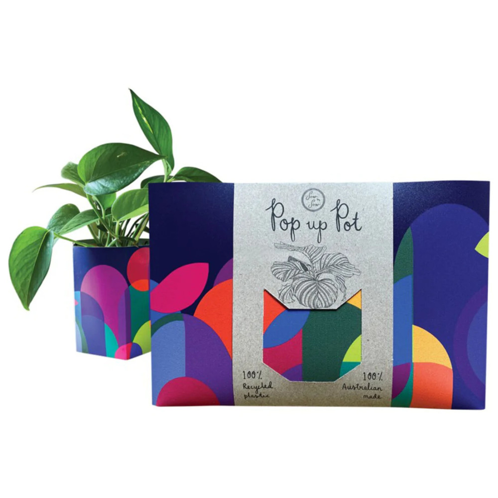 Pop Up Pot - Community Garden