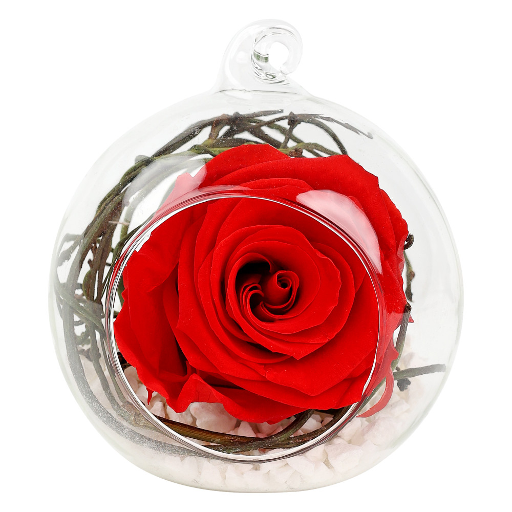 Preserved Red Rose Orb | Flowers Delivered