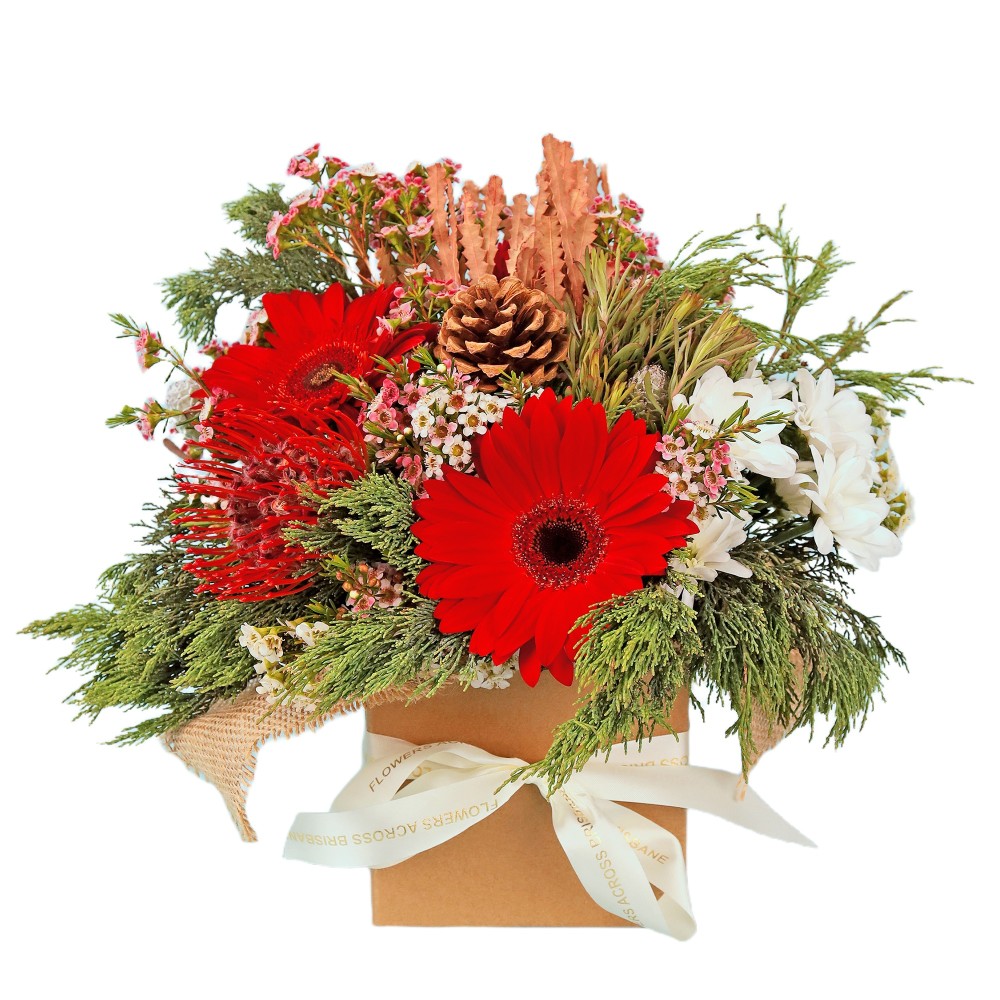 Christmas Natives Gift Box | Flowers Delivered Melbourne