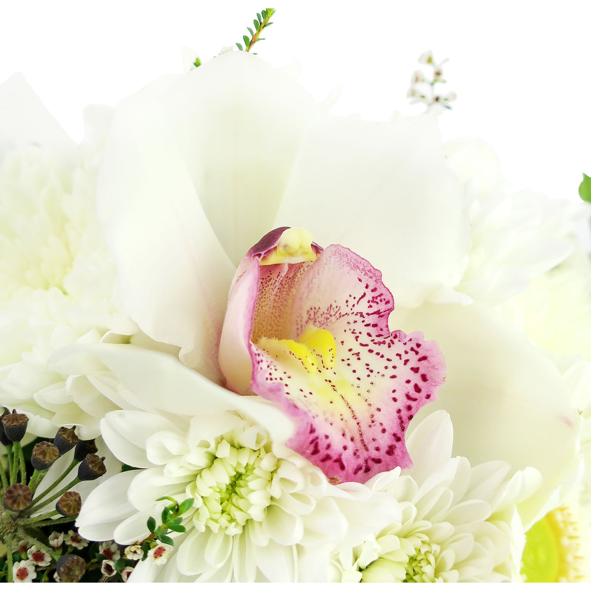 Posy Box | Flower Delivery Sydney | Flowers Across Sydney