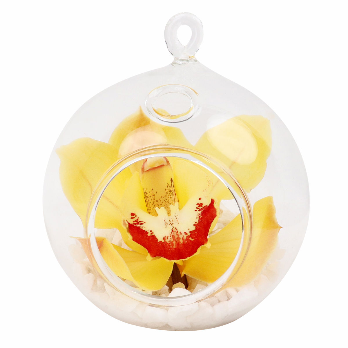 Yellow Orchid Orb | Flowers Delivered