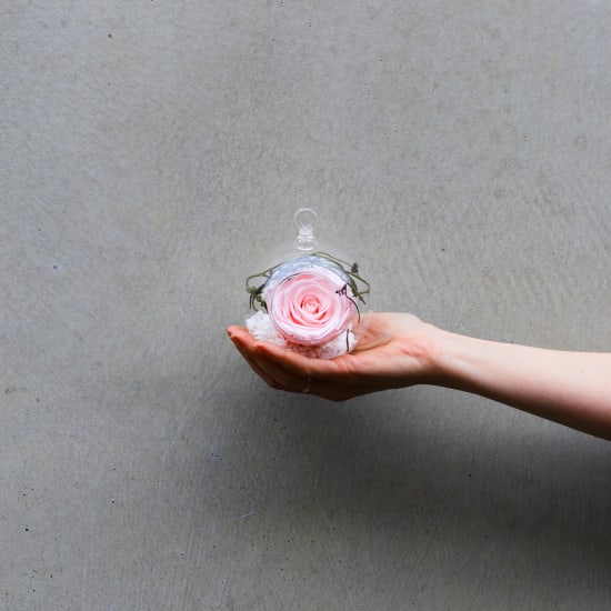 Preserved Blush Rose Orb | Online Flowers Melbourne