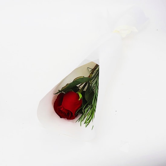 Single Rose Subscription | Flowers Delivered