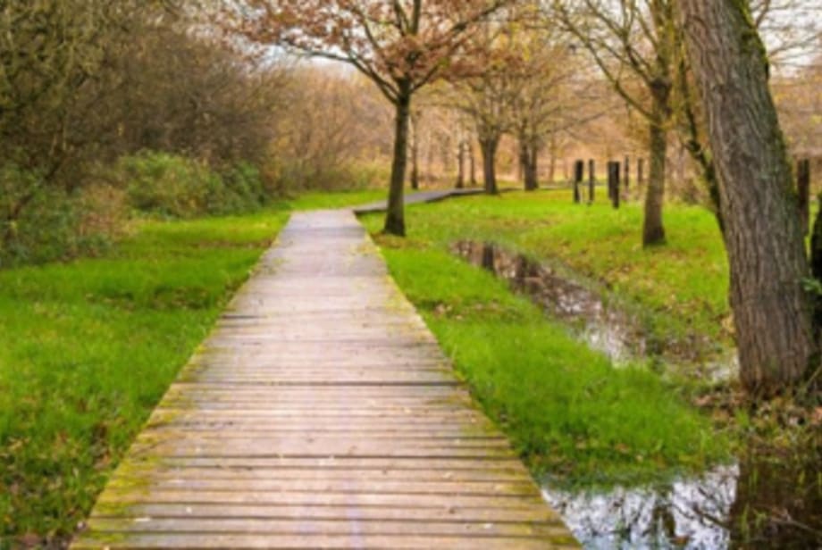 Réaménager la portion du sentier de la Dyle entre l’étang de Pécrot et ...