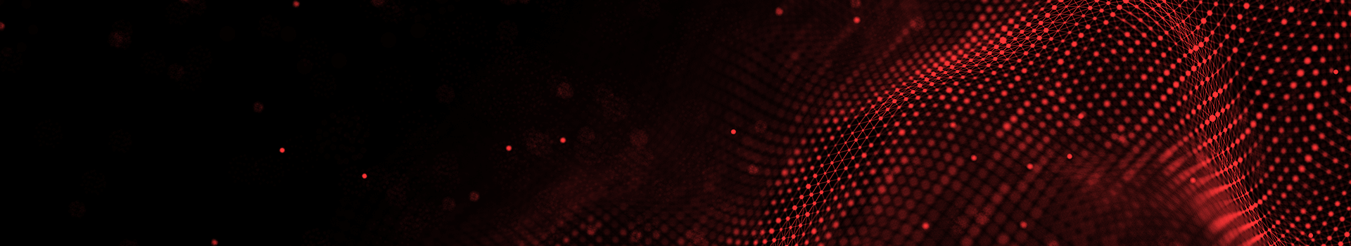 Partners Fluid Attacks