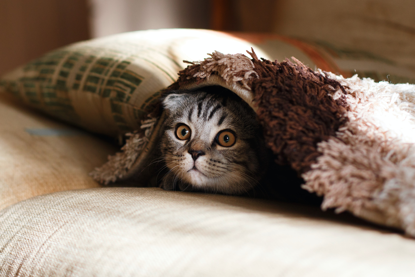 Guide: How to Implement DevSecOps | Blog | Fluid Attacks