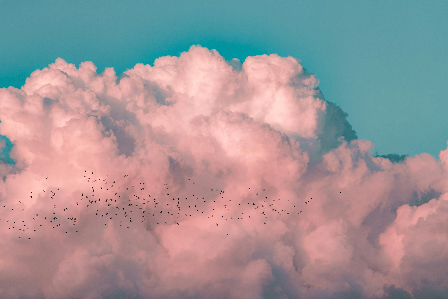 Should We Stay or Should We Go? | Blog | Fluid Attacks Should We Stay or Should We Go? | Blog | Fluid Attacks