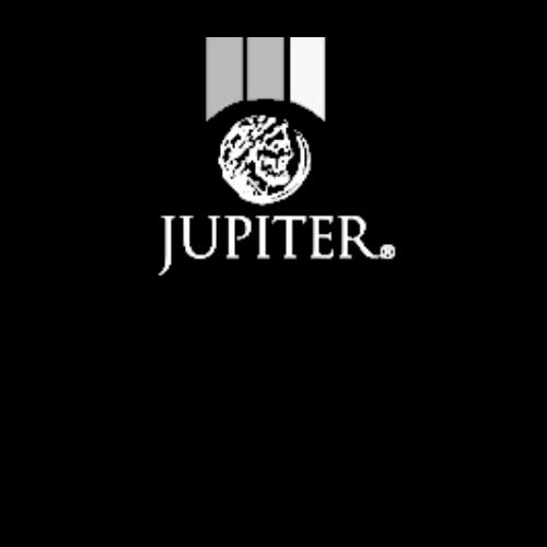 Jupiter Instruments Logo