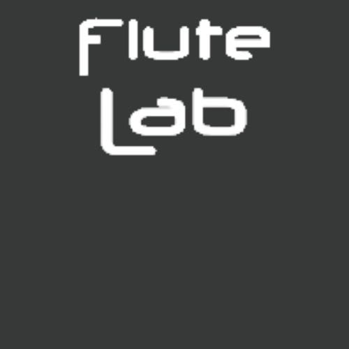 Flute Lab Headjoints - Flute Specialists