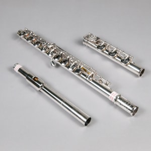 Shop Flutes - Piccolos - Headjoints - Flutists Accessories