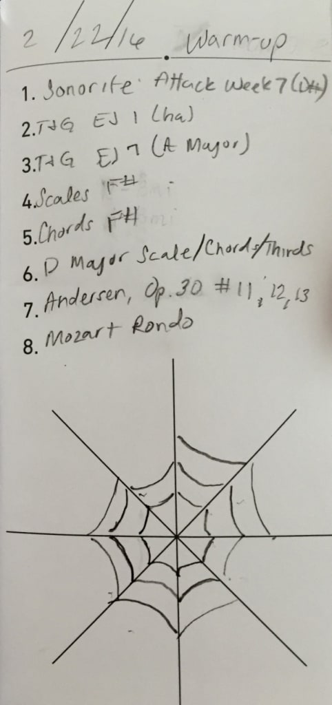 Spider Log by Danilo Mezzadri - Flute Specialists