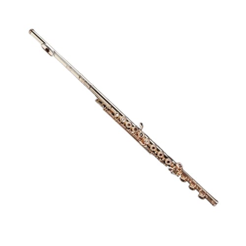 Di Zhao Flutes - Flute Specialists