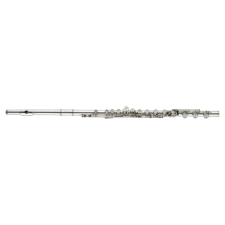 Shop Flutes - Flute Specialists