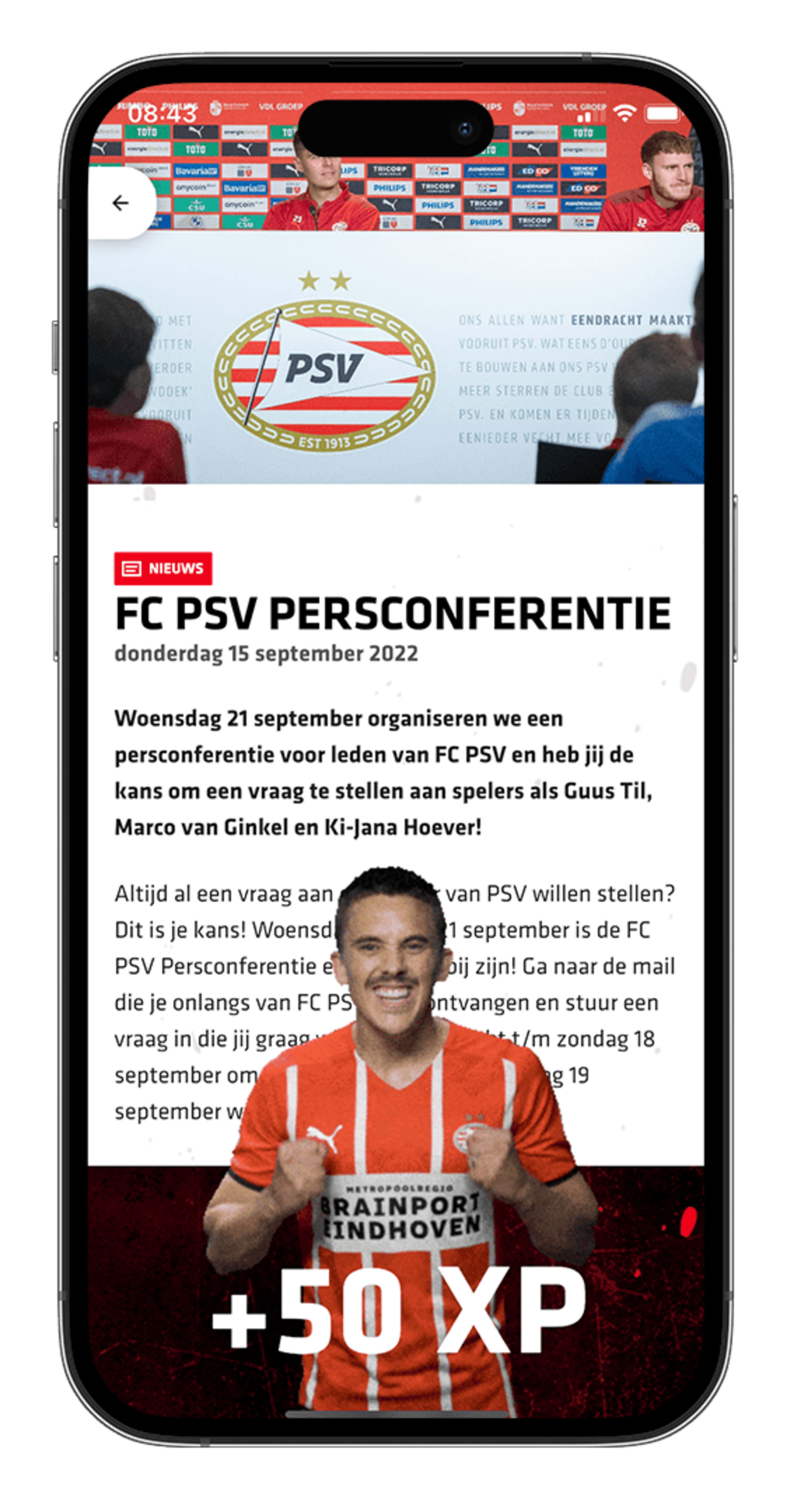 Flying Kiwi - Creative Digital Studio — Flying Kiwi — Creative Digital Studio