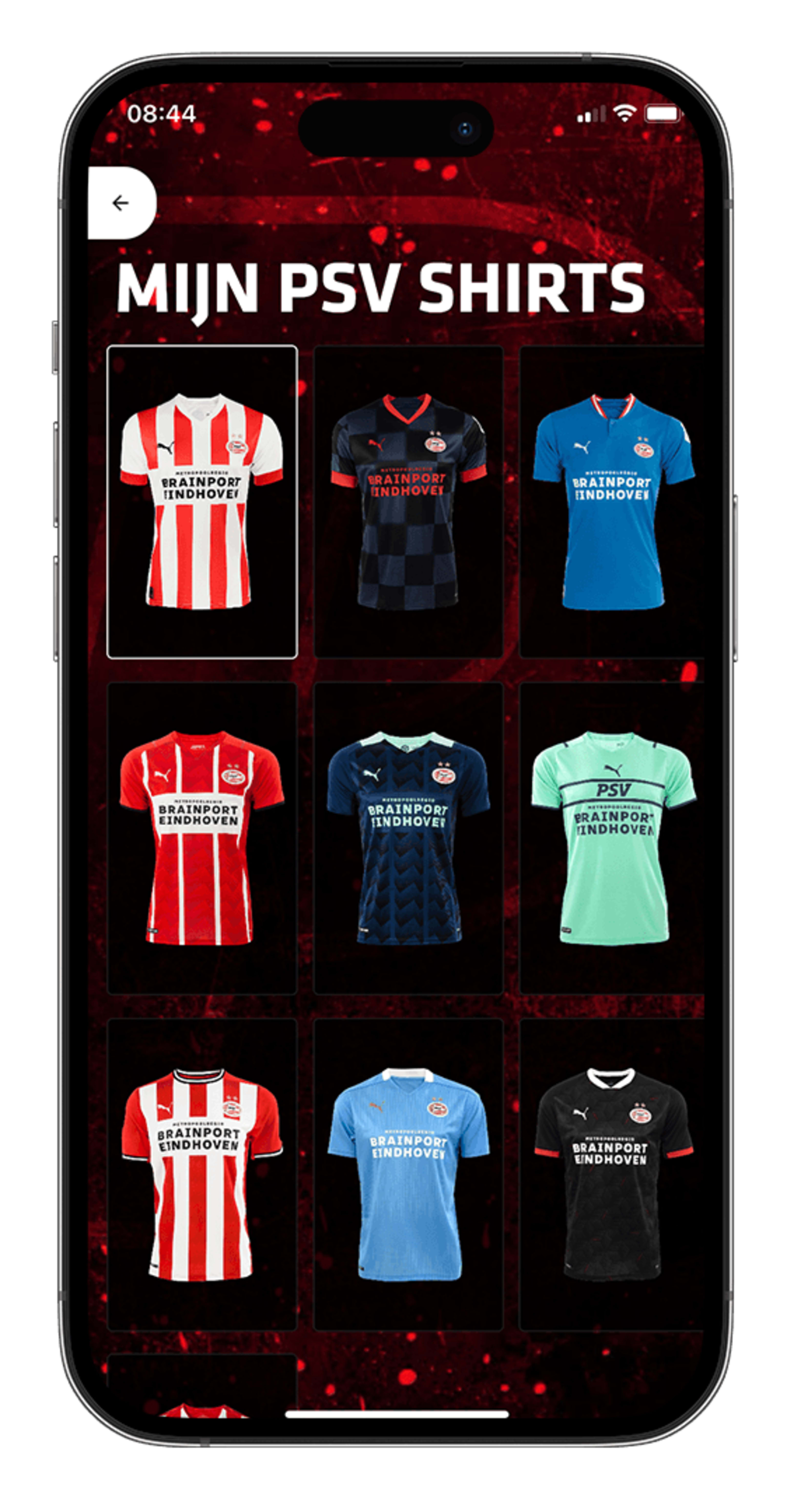 Flying Kiwi - Creative Digital Studio — Flying Kiwi — Creative Digital Studio