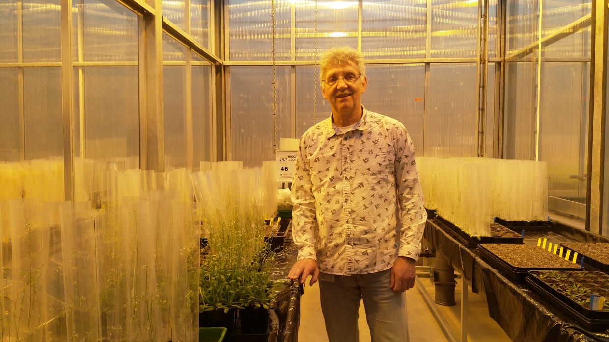 UvA professor on genetic modification: “I fear that this technique will ...