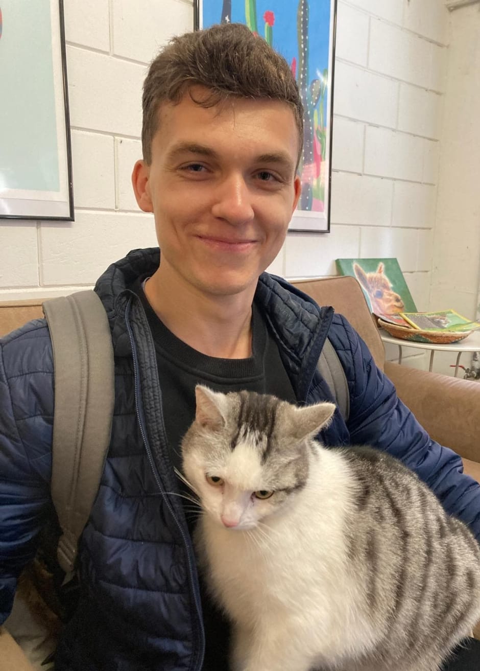 Homestay rental makes a comeback: savior in the housing crisis or ...