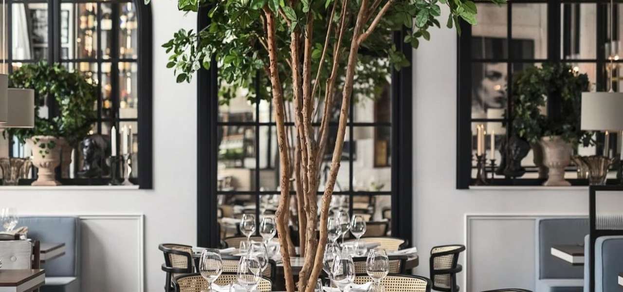 Restaurang Aperitivo by Ingrosso, Stockholm - Lunch