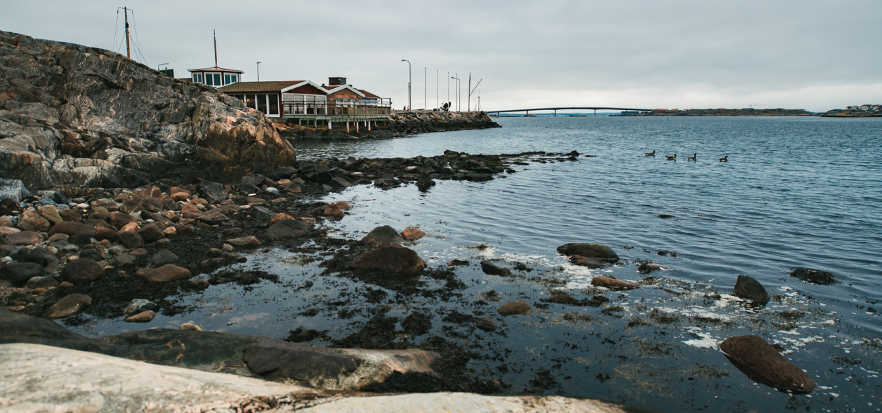 Restaurang Tullhuset, Hönö - Lunch