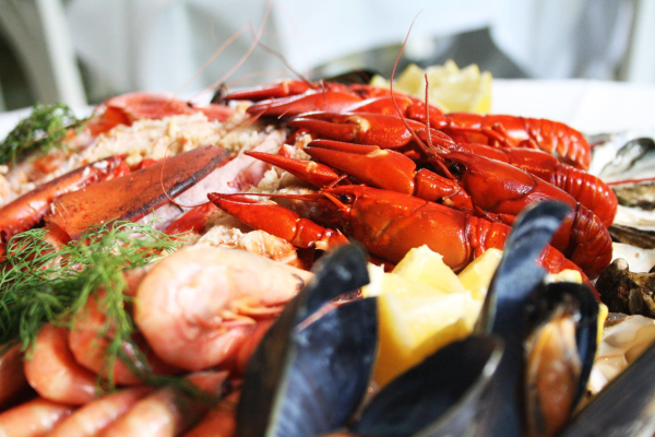 Restaurang Gimo Herrgård, Gimo - Lunch