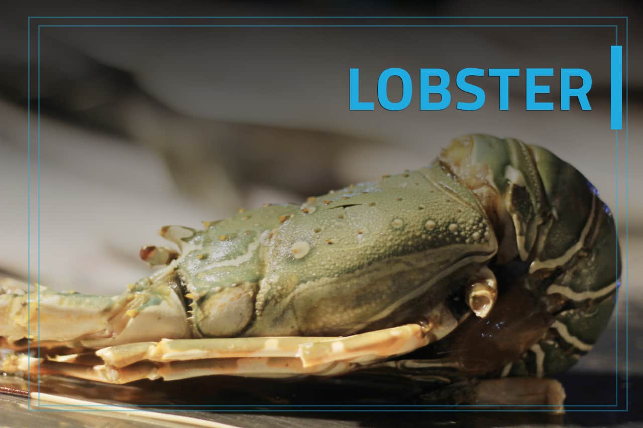 Rashid SeaFood Menu, Deals, Prices, Order Online, Location, Phone