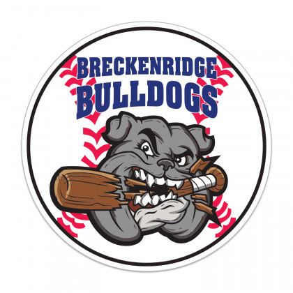 Baseball Car Magnet Promotion | Custom Promotional Baseball Magnets