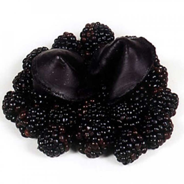 Black Raspberry Flavored Custom Fortune Cookie | Promo Fortune Cookies